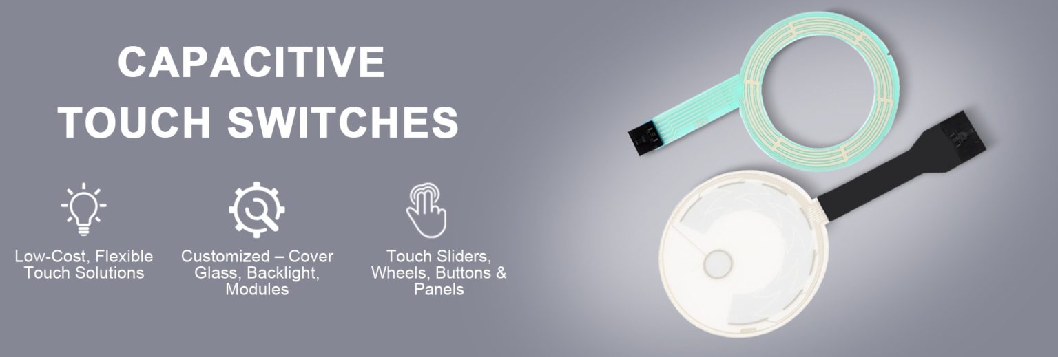 Capacitive Touch Switch Manufacturers - Dignity Electronics